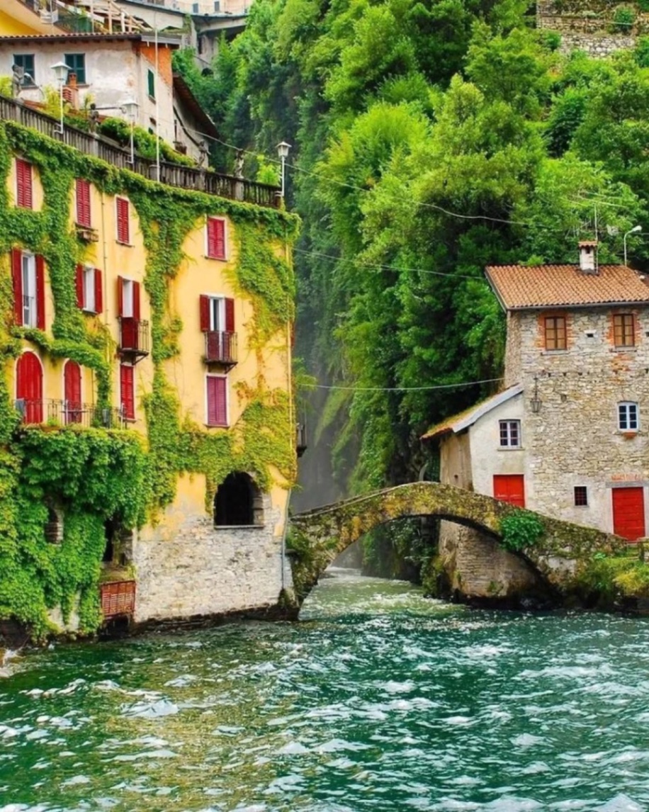 RELAX 🔺 (@RelaxStopLoss) - The Arena