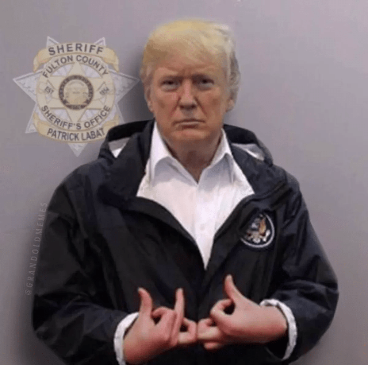 🇺🇸 Donald Trump INU 🦅 🔺 (@DonaldTrump_INU) - The Arena